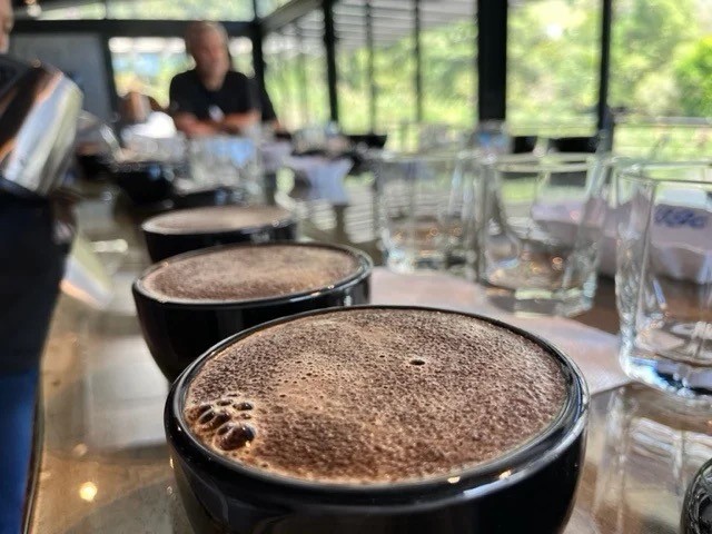 [Recruitment closed] The best Panama Geisha [Altieri] × Eiji Dobashi ...