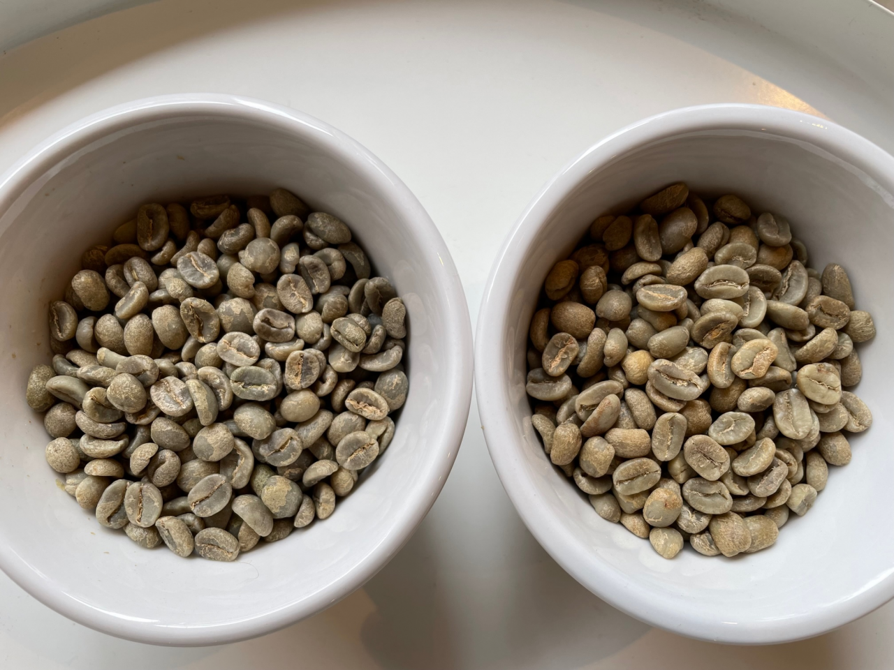 The Fermentation Process of Free-Washed Coffee [Coffee Fanatic Hitomi ...